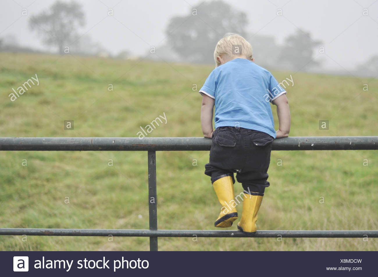 Climbing The Fence High Resolution Stock Photography and Images - Alamy