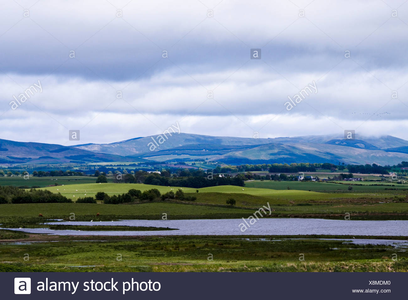 Leven Fife High Resolution Stock Photography and Images - Alamy