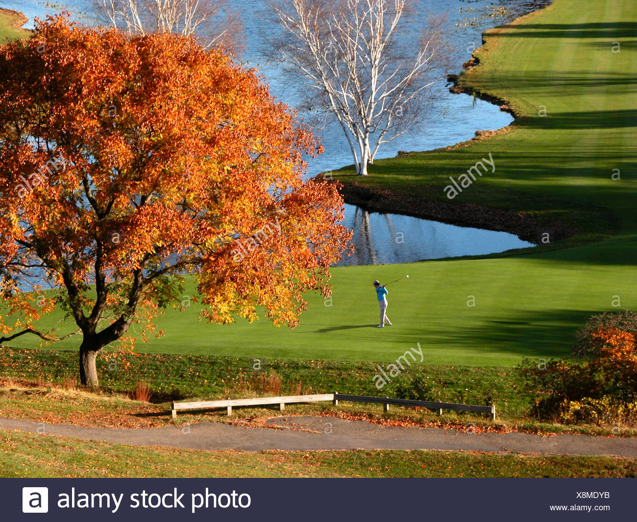 Golfers Greens High Resolution Stock Photography and Images - Alamy