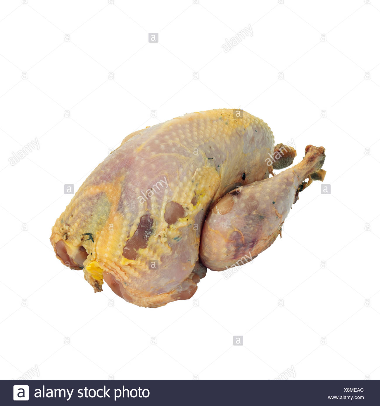 Pheasant Meat High Resolution Stock Photography and Images - Alamy