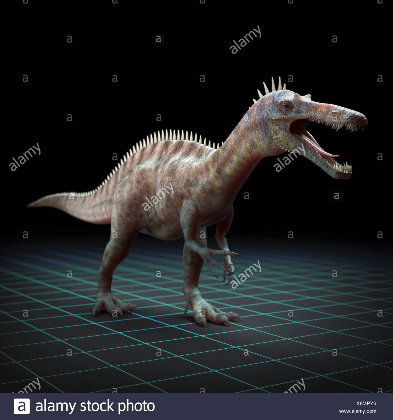 Suchomimus High Resolution Stock Photography and Images - Alamy