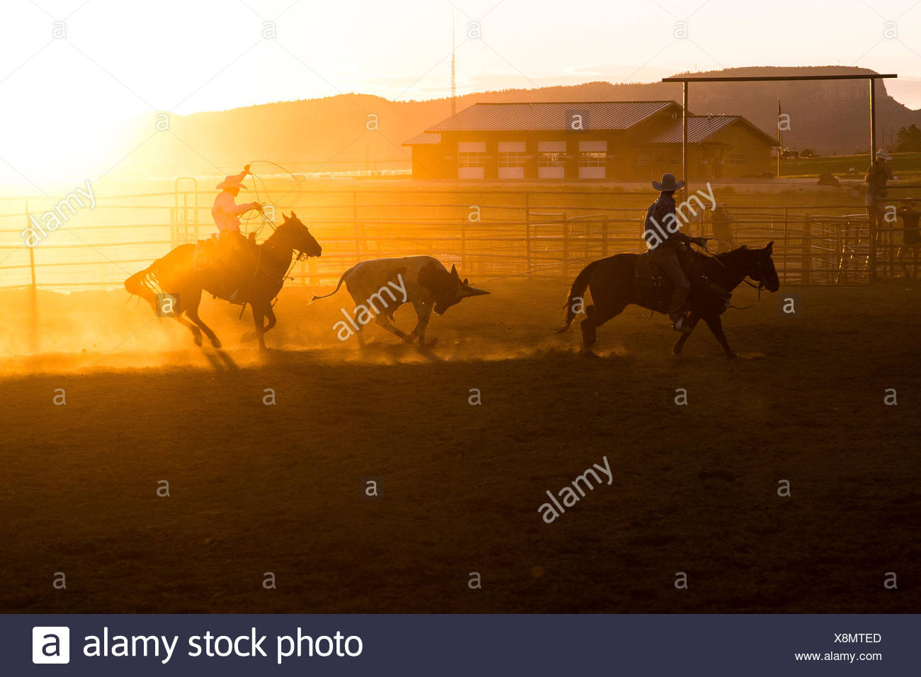 Cowboy Lassoing High Resolution Stock Photography and Images - Alamy