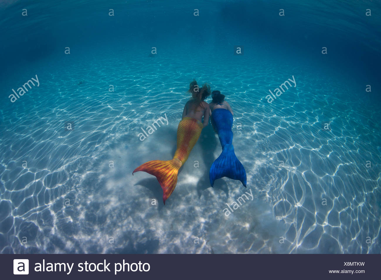 Diver Mermaid High Resolution Stock Photography and Images - Alamy