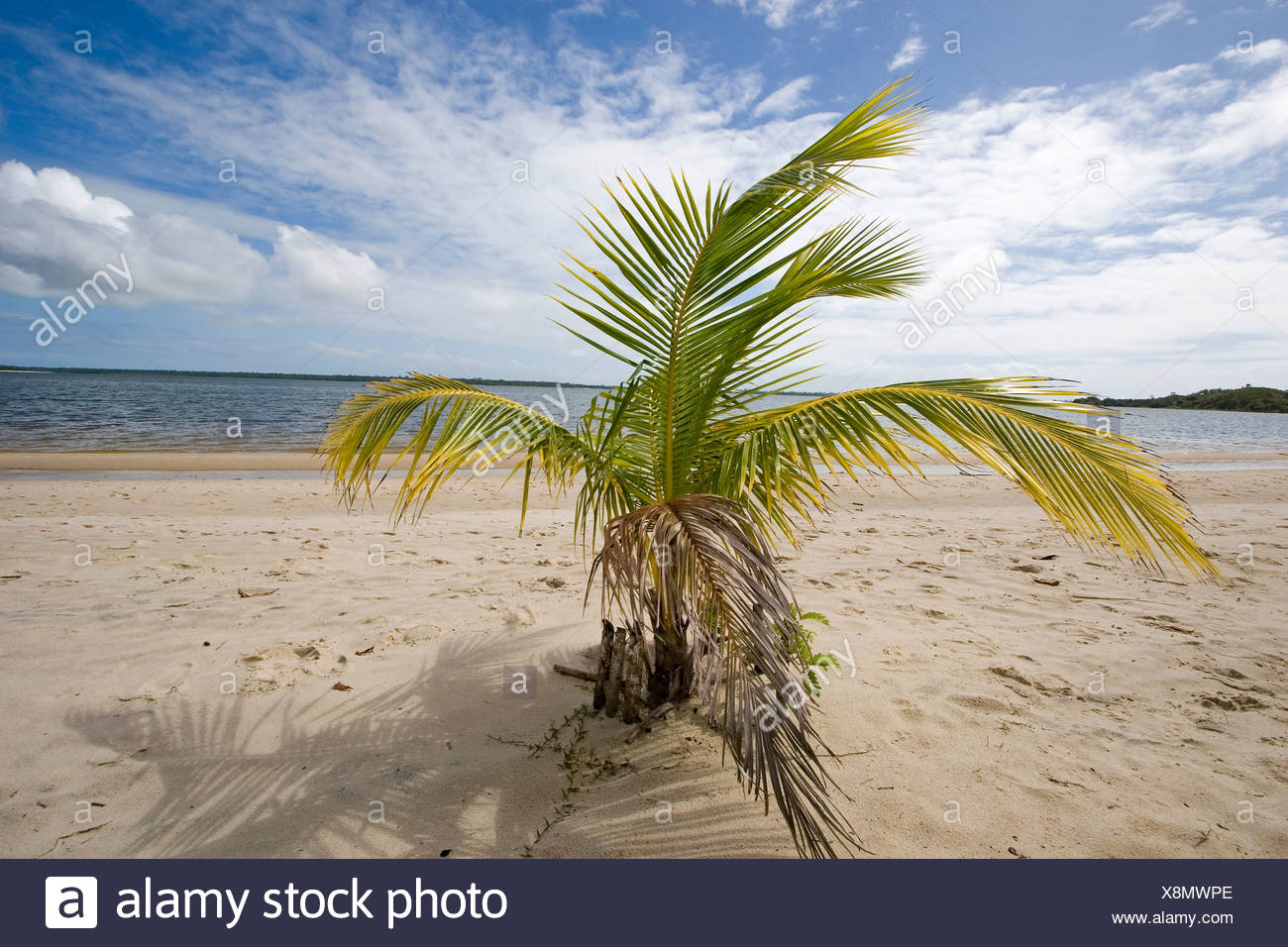 Manambato High Resolution Stock Photography and Images - Alamy