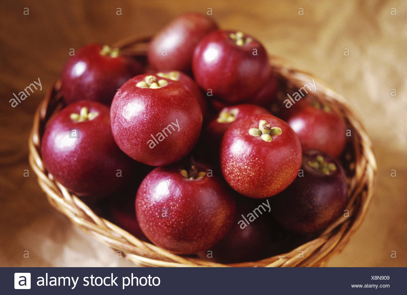 Kokum High Resolution Stock Photography and Images - Alamy