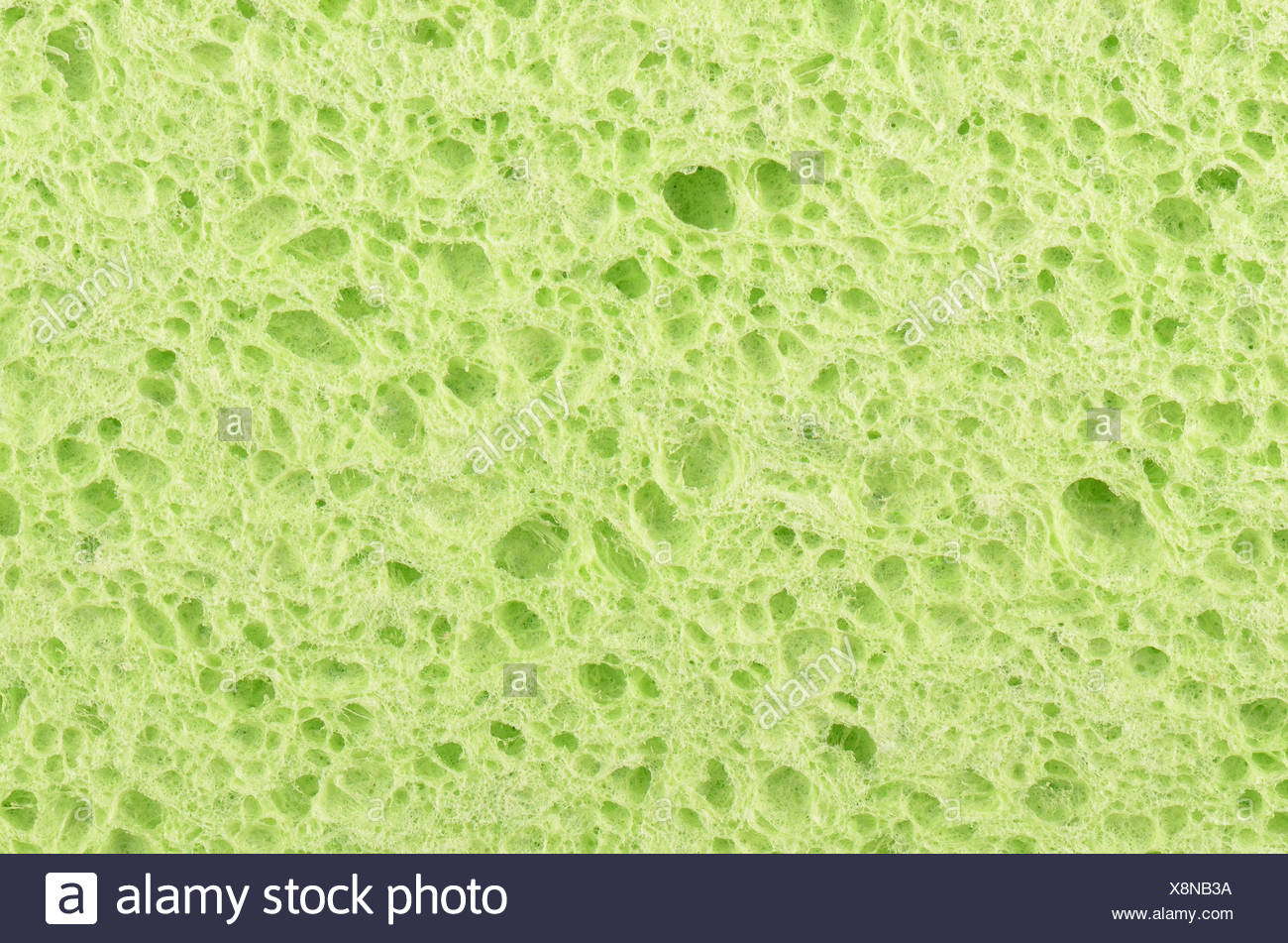 Cellulose High Resolution Stock Photography and Images - Alamy