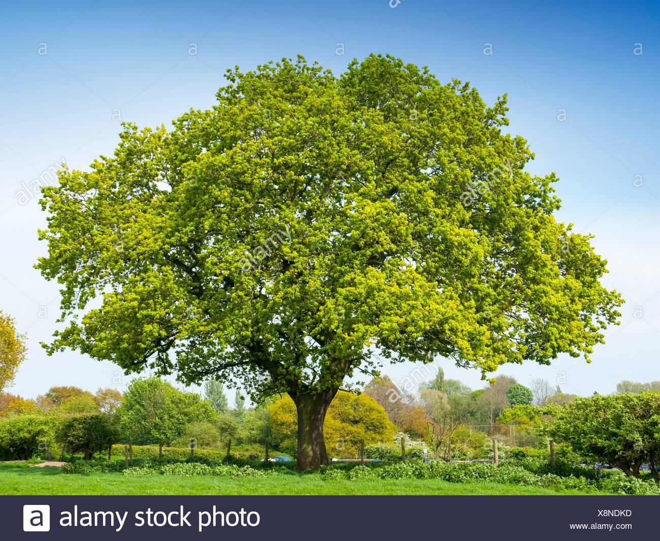 Cheshire Countryside Stock Photos & Cheshire Countryside Stock Images ...