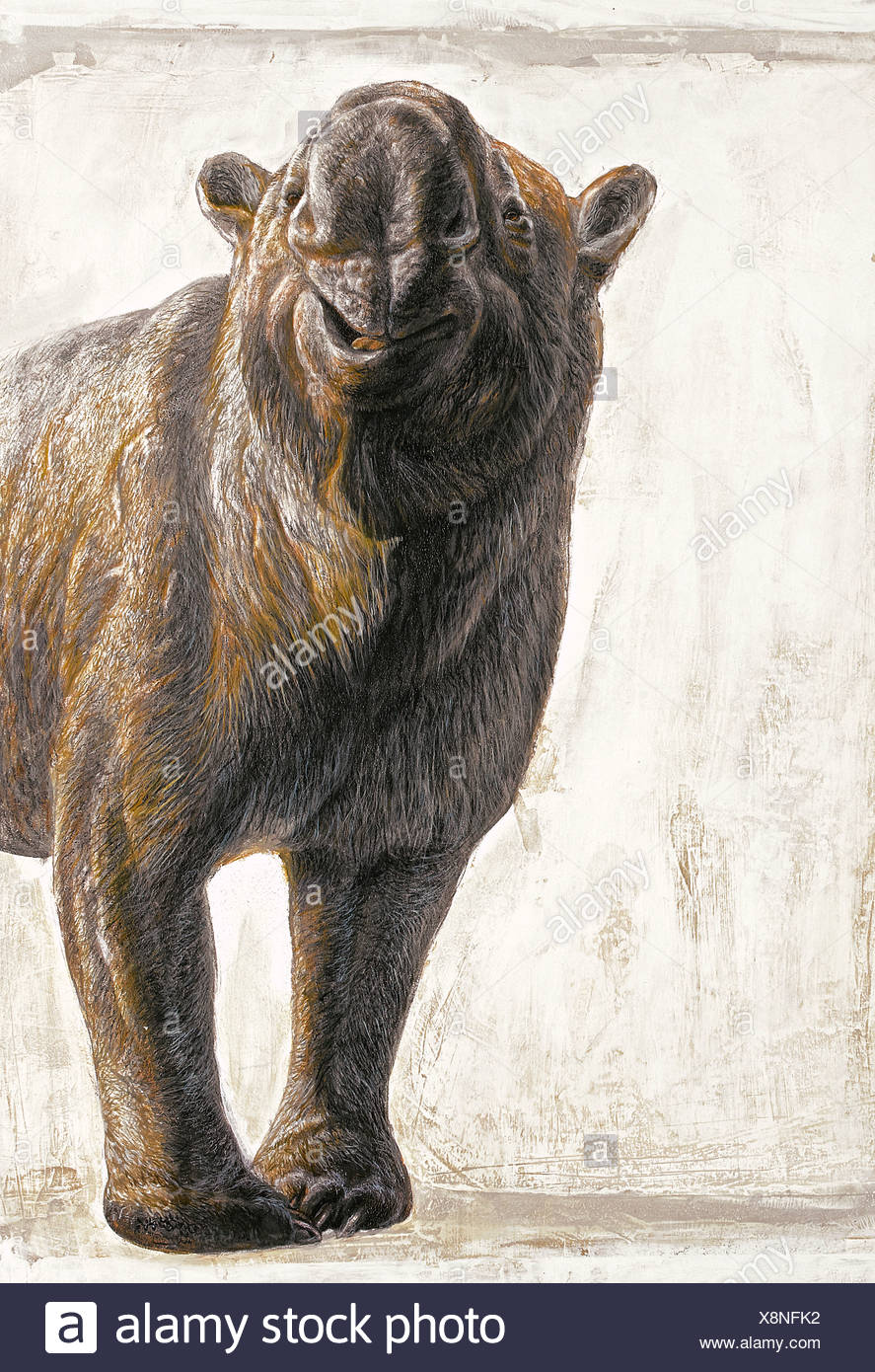 Diprotodon Stock Photos & Diprotodon Stock Images - Alamy