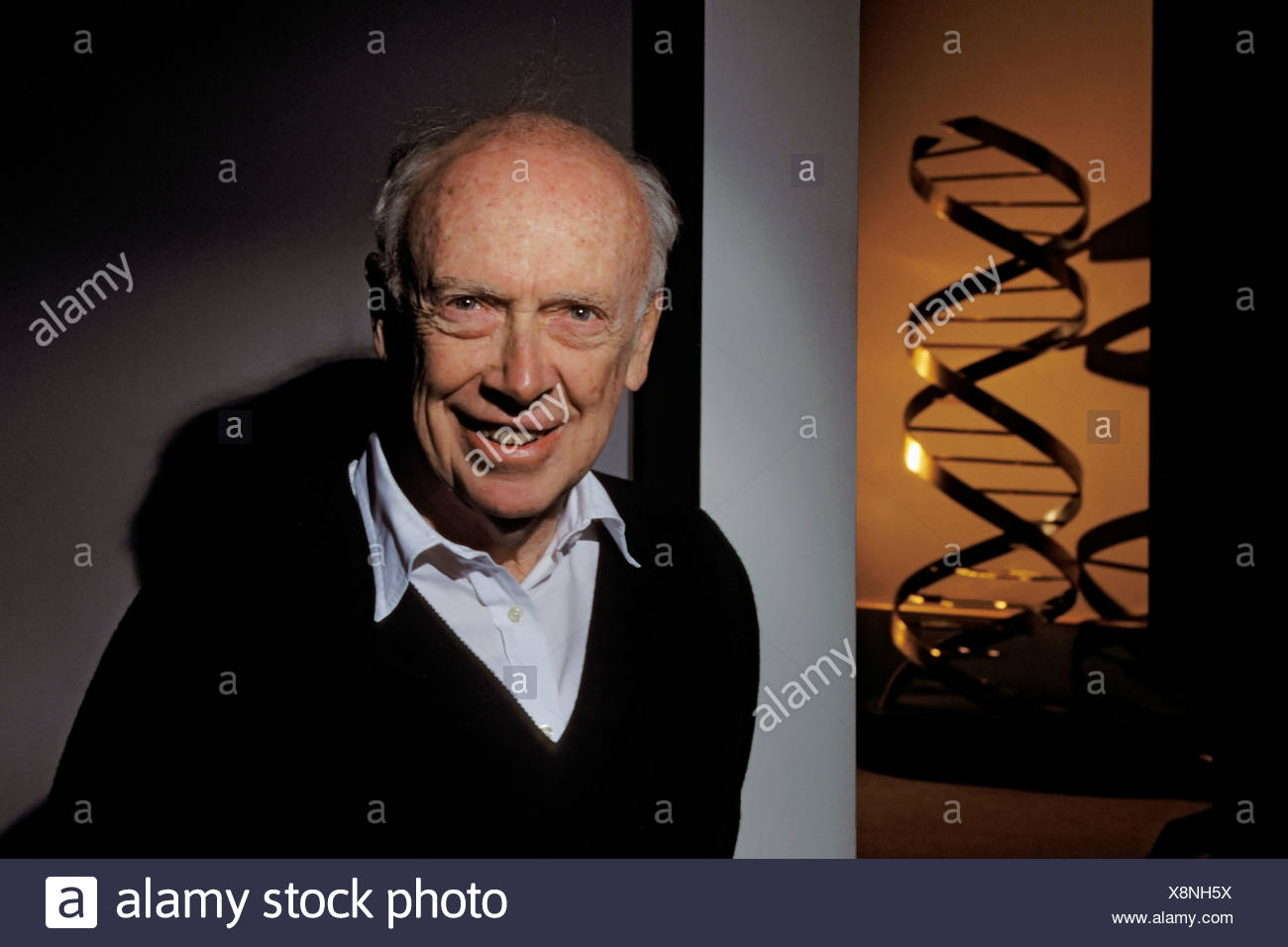 Dr Watson Stock Photos & Dr Watson Stock Images - Alamy