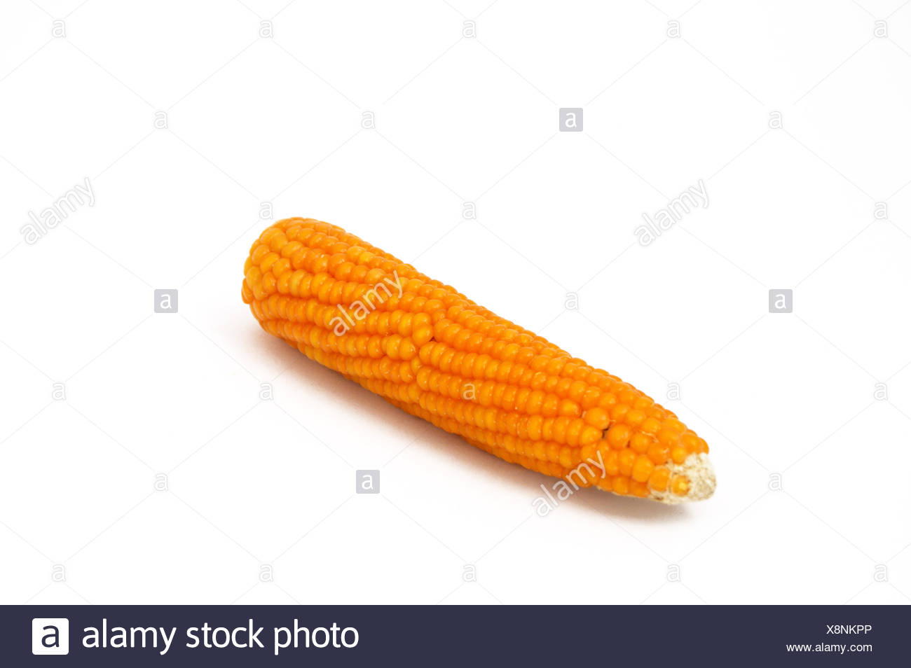 Cartoon Image Happy Children Color High Resolution Stock Photography ...