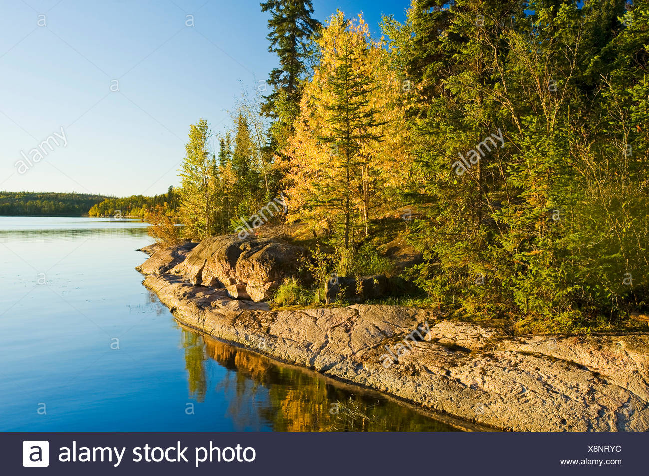Devil Trees High Resolution Stock Photography and Images - Alamy