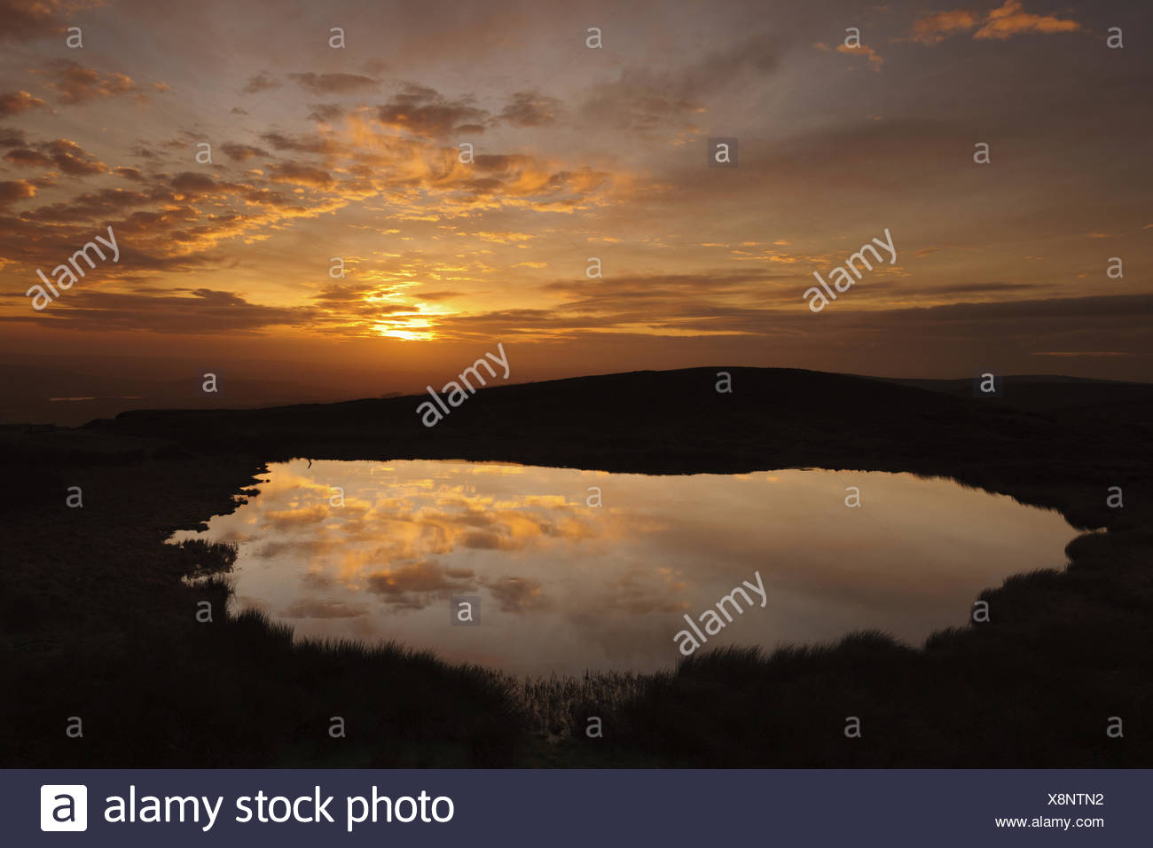 Blakemere Pond High Resolution Stock Photography and Images - Alamy