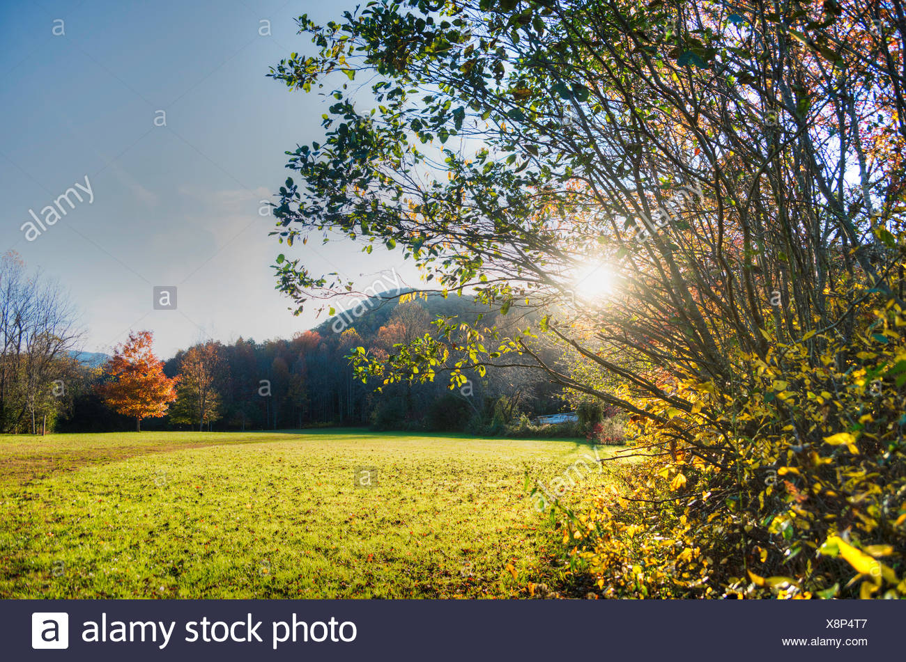 Canstock High Resolution Stock Photography and Images - Alamy