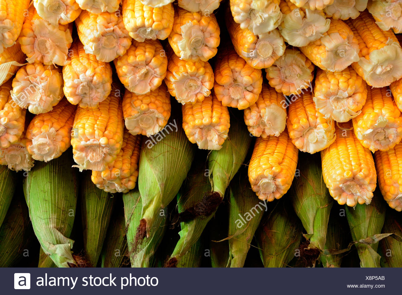 Corncobs High Resolution Stock Photography and Images - Alamy