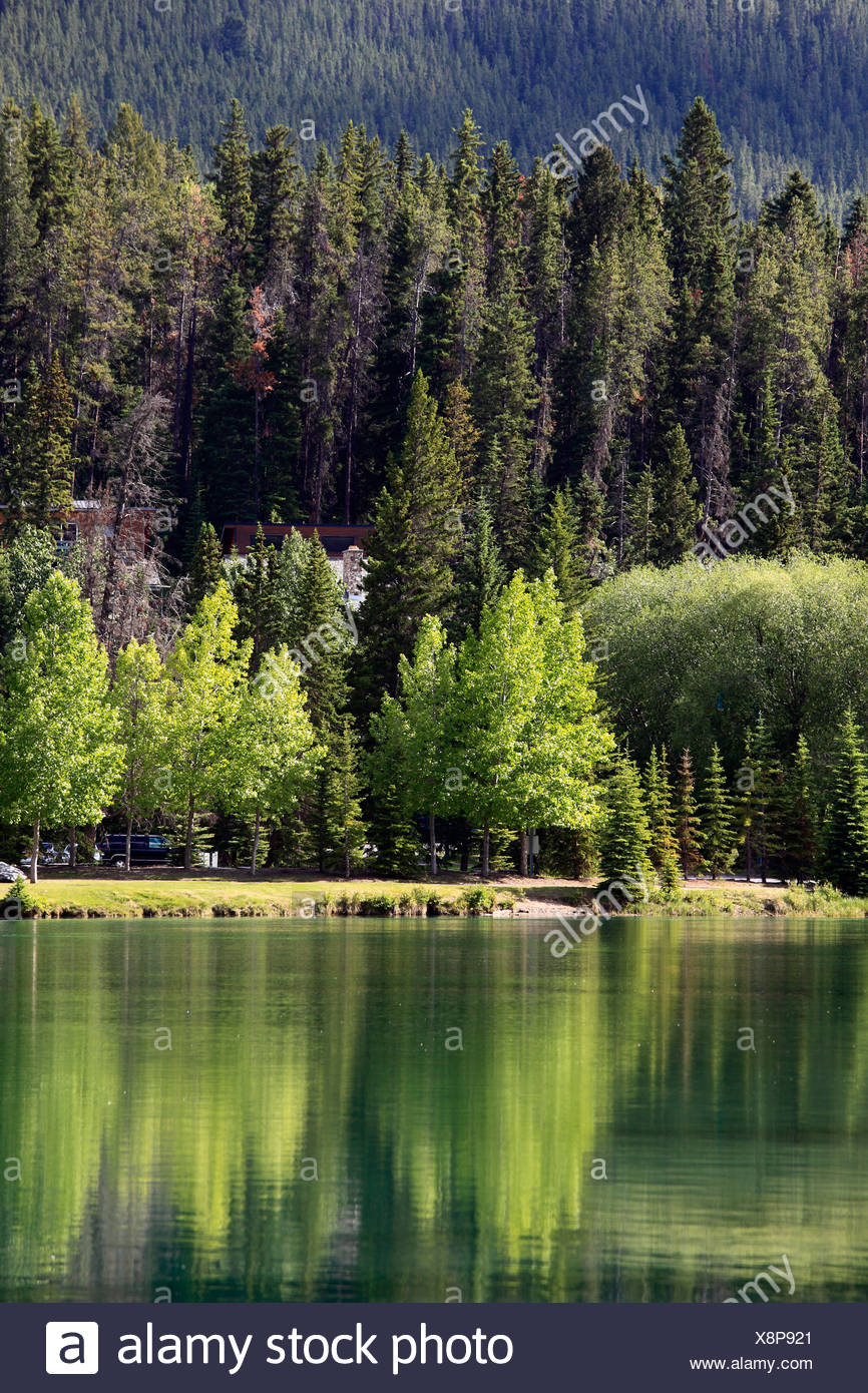 Sunny Alberta High Resolution Stock Photography and Images - Alamy
