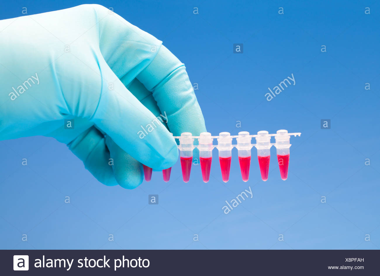 Microtubes High Resolution Stock Photography and Images - Alamy