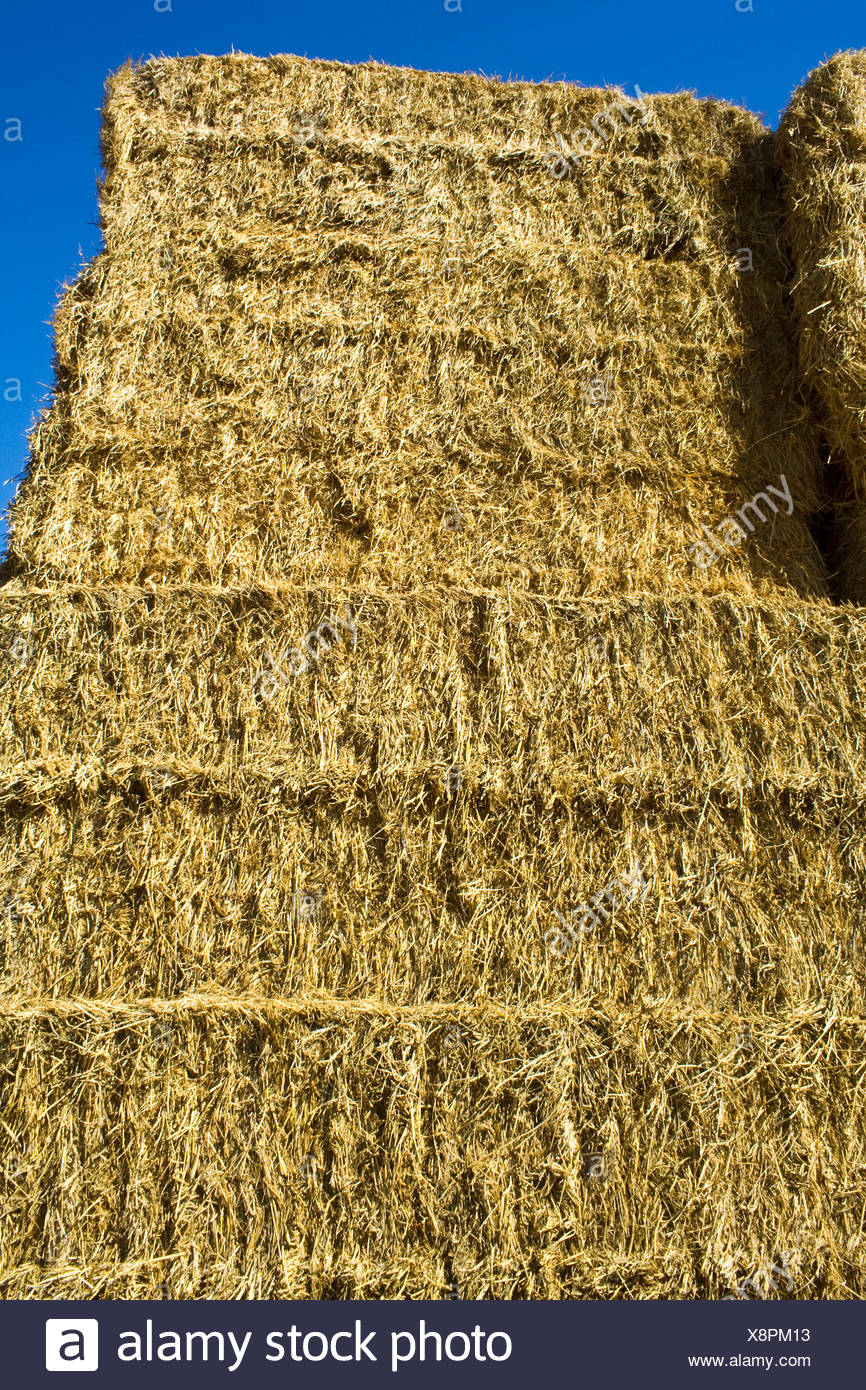 Rice Bale High Resolution Stock Photography and Images - Alamy