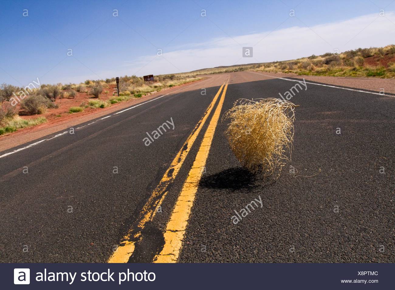 Tumbleweed Blowing High Resolution Stock Photography and Images - Alamy