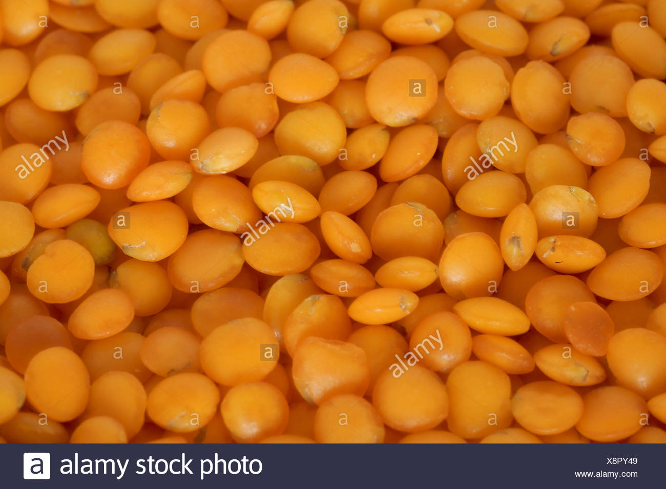 Lentil Crop High Resolution Stock Photography and Images - Alamy