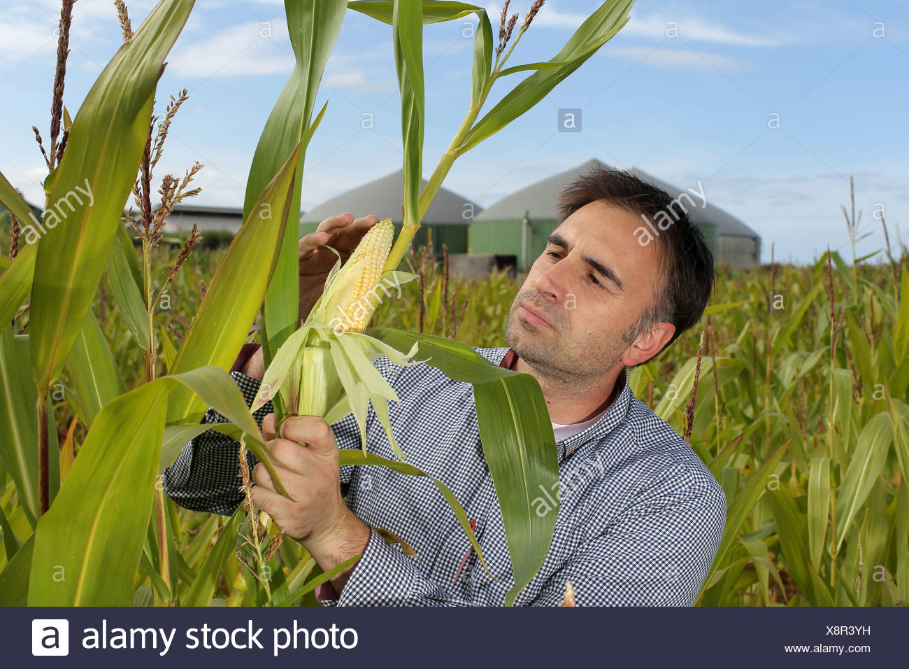 Biogas Technology High Resolution Stock Photography and Images - Alamy