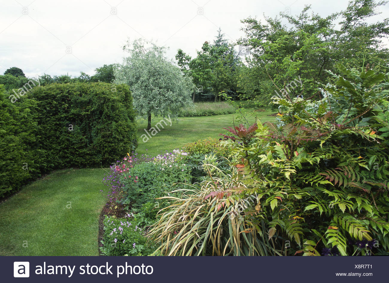 Curved Hedge High Resolution Stock Photography and Images - Alamy