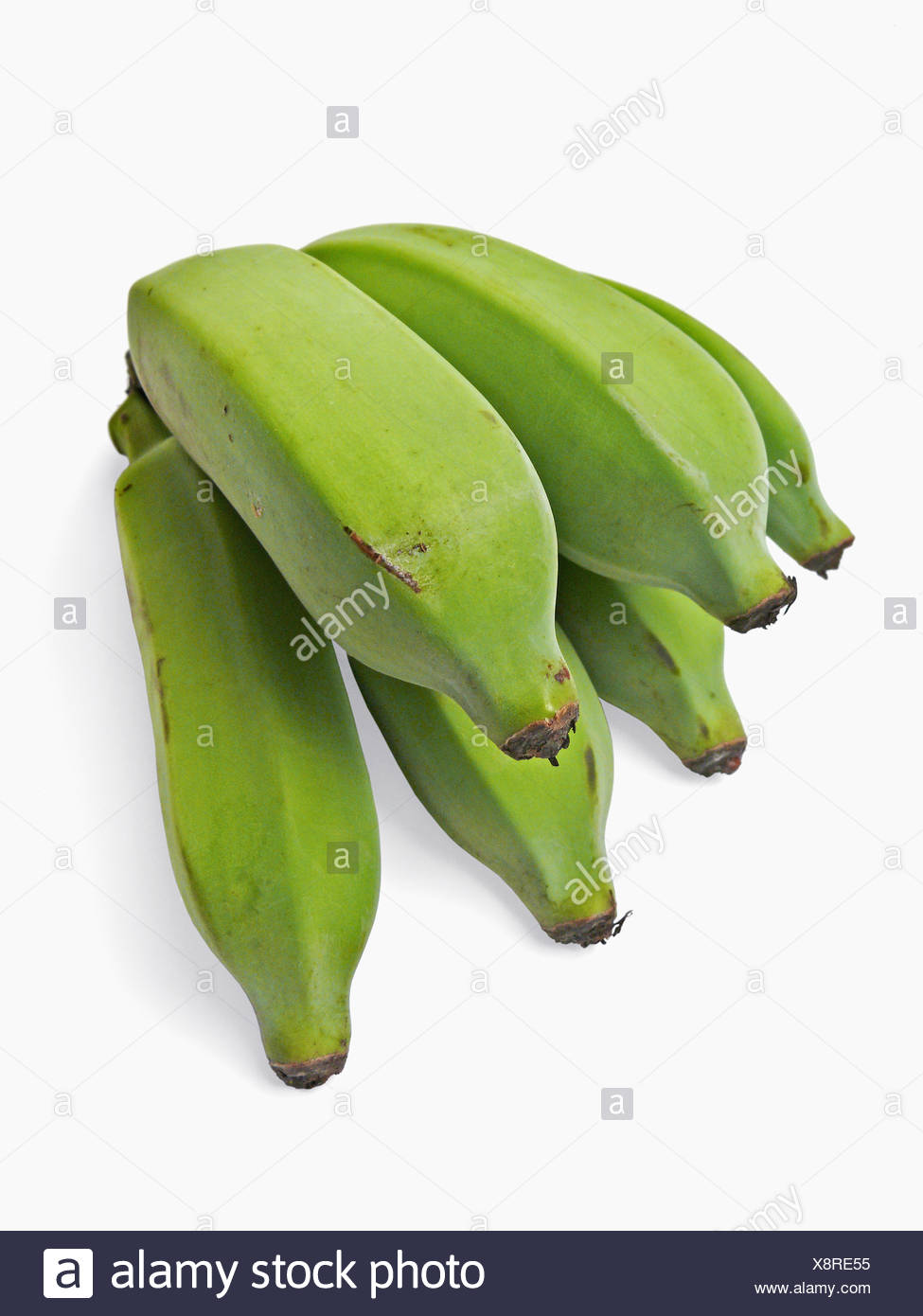 Banana Family Musaceae High Resolution Stock Photography and Images - Alamy