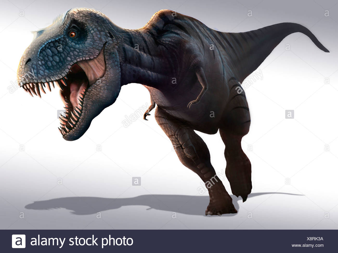 Famous Artwork Of Animals High Resolution Stock Photography and Images ...