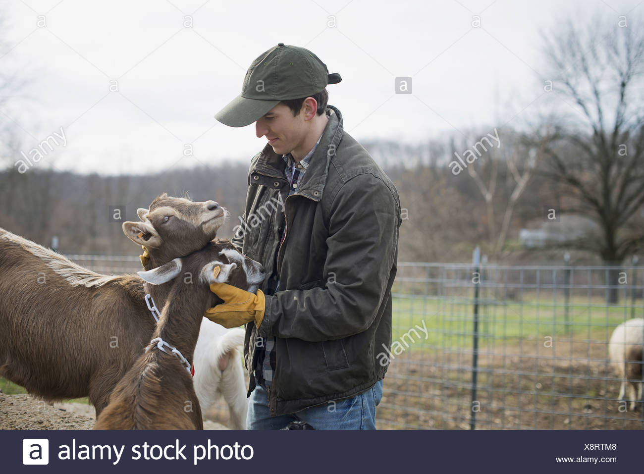 Even Working High Resolution Stock Photography and Images - Alamy