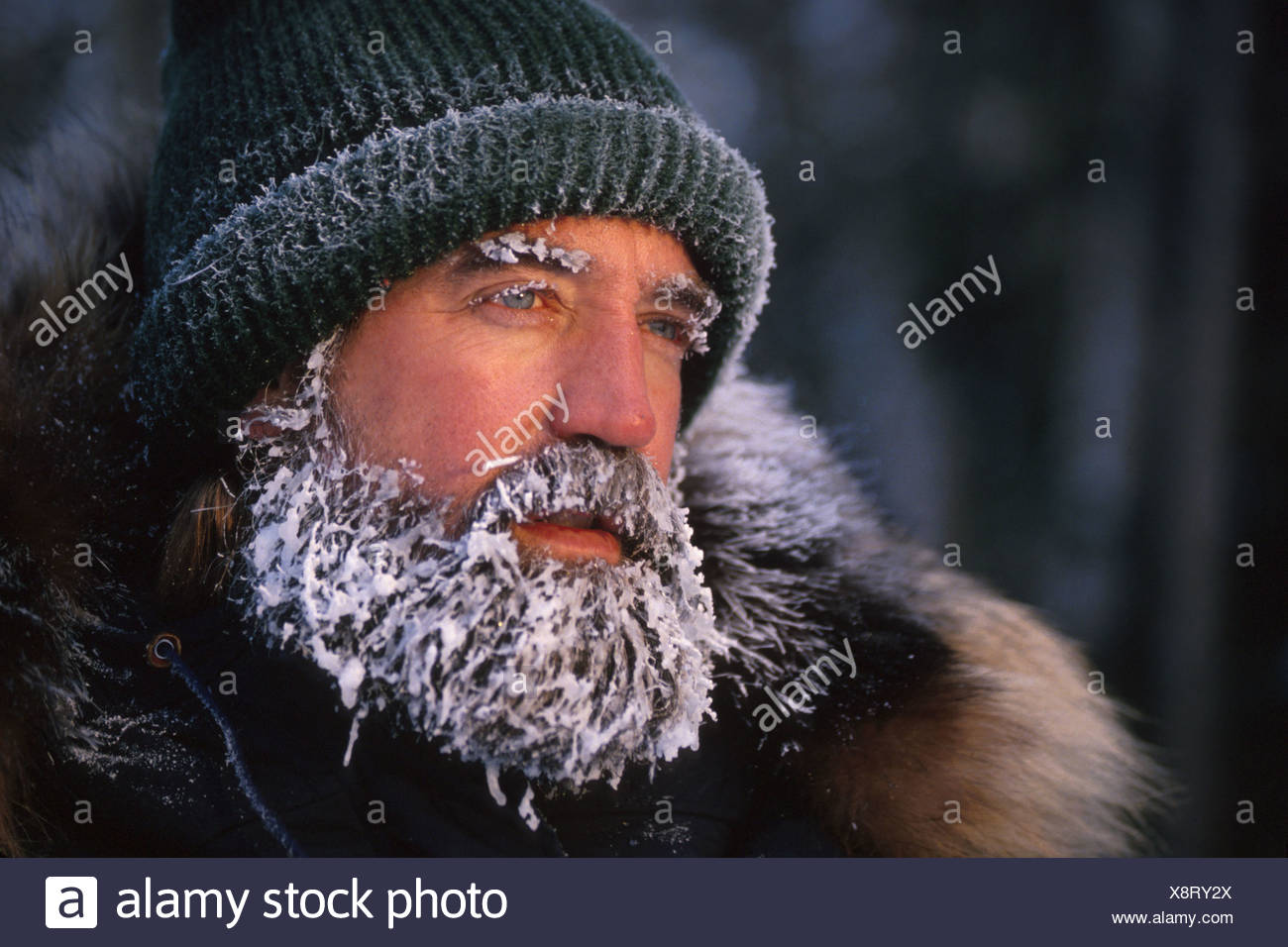 Frosted Beard High Resolution Stock Photography and Images - Alamy
