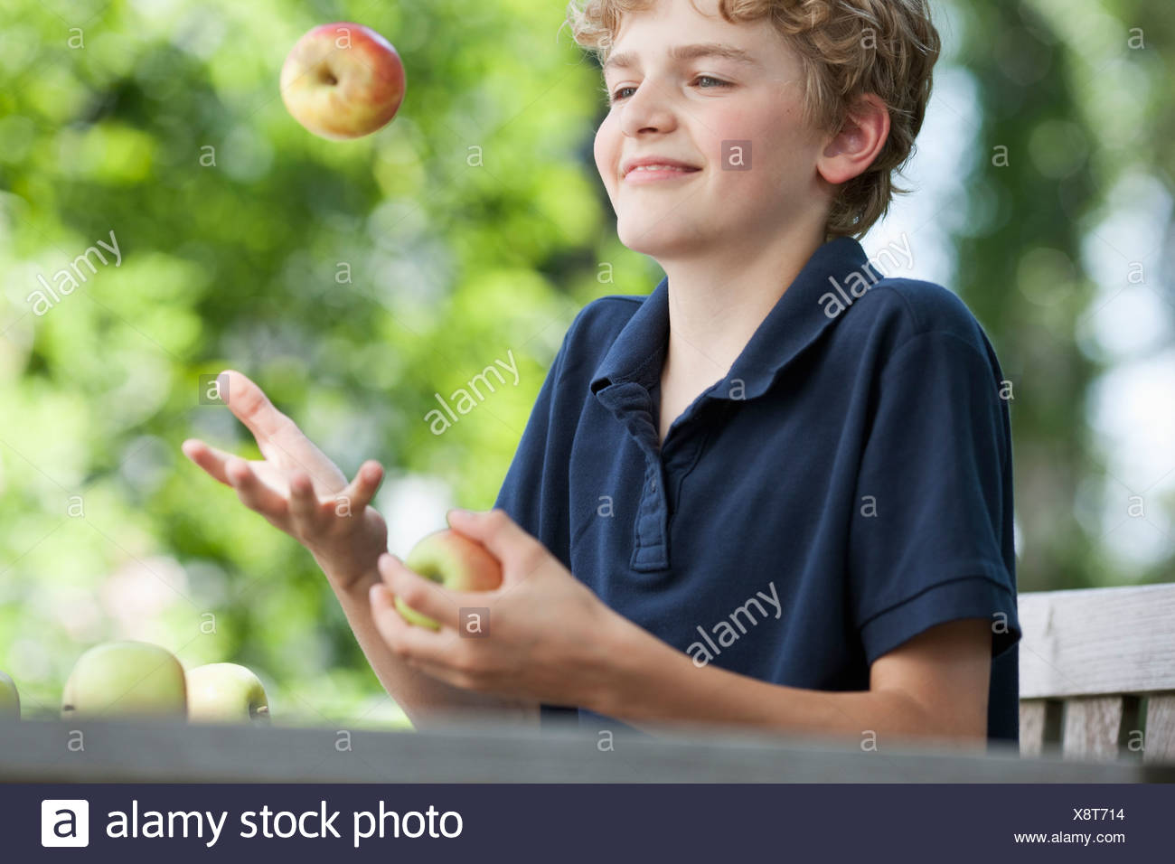 Apple To Apples Game High Resolution Stock Photography and Images - Alamy