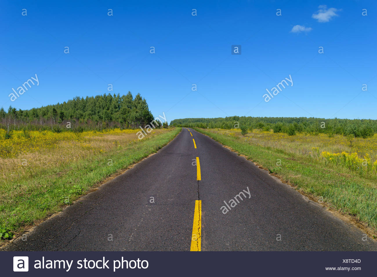 Yellow Dotted Line High Resolution Stock Photography and Images - Alamy