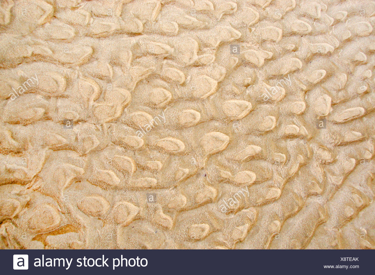 Sand Structures High Resolution Stock Photography and Images - Alamy
