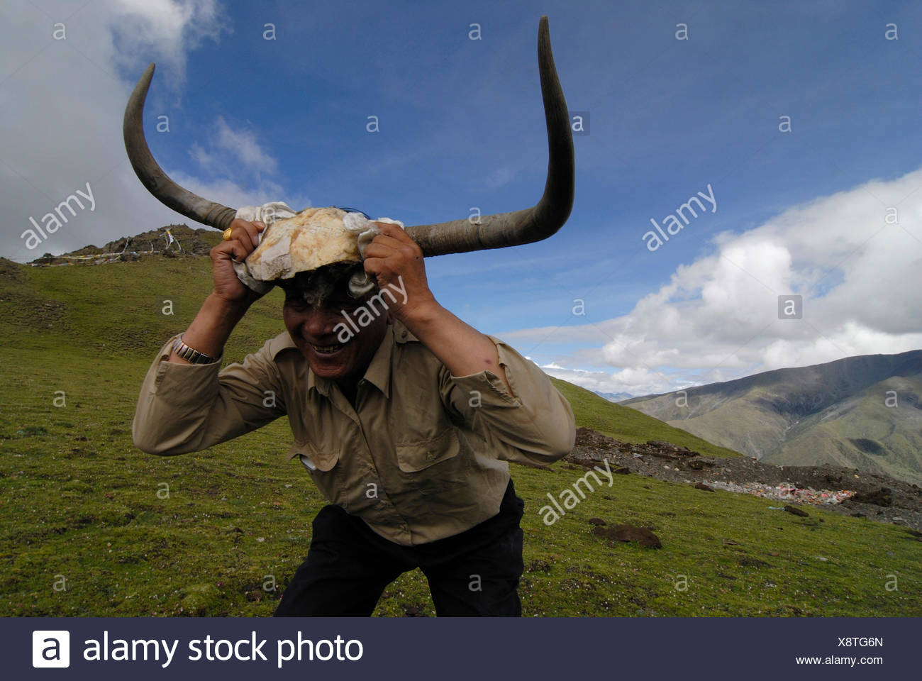 Yak With Horns High Resolution Stock Photography and Images - Alamy