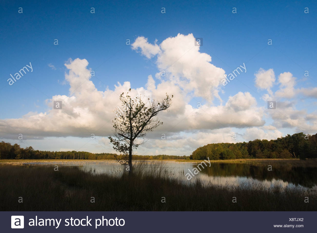 Leersumse Veld Stock Photos & Leersumse Veld Stock Images - Alamy