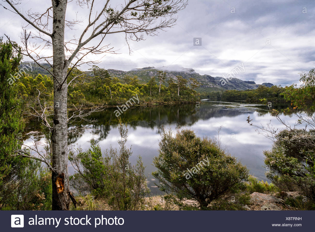 Australia Lake Tasmania High Resolution Stock Photography and Images ...