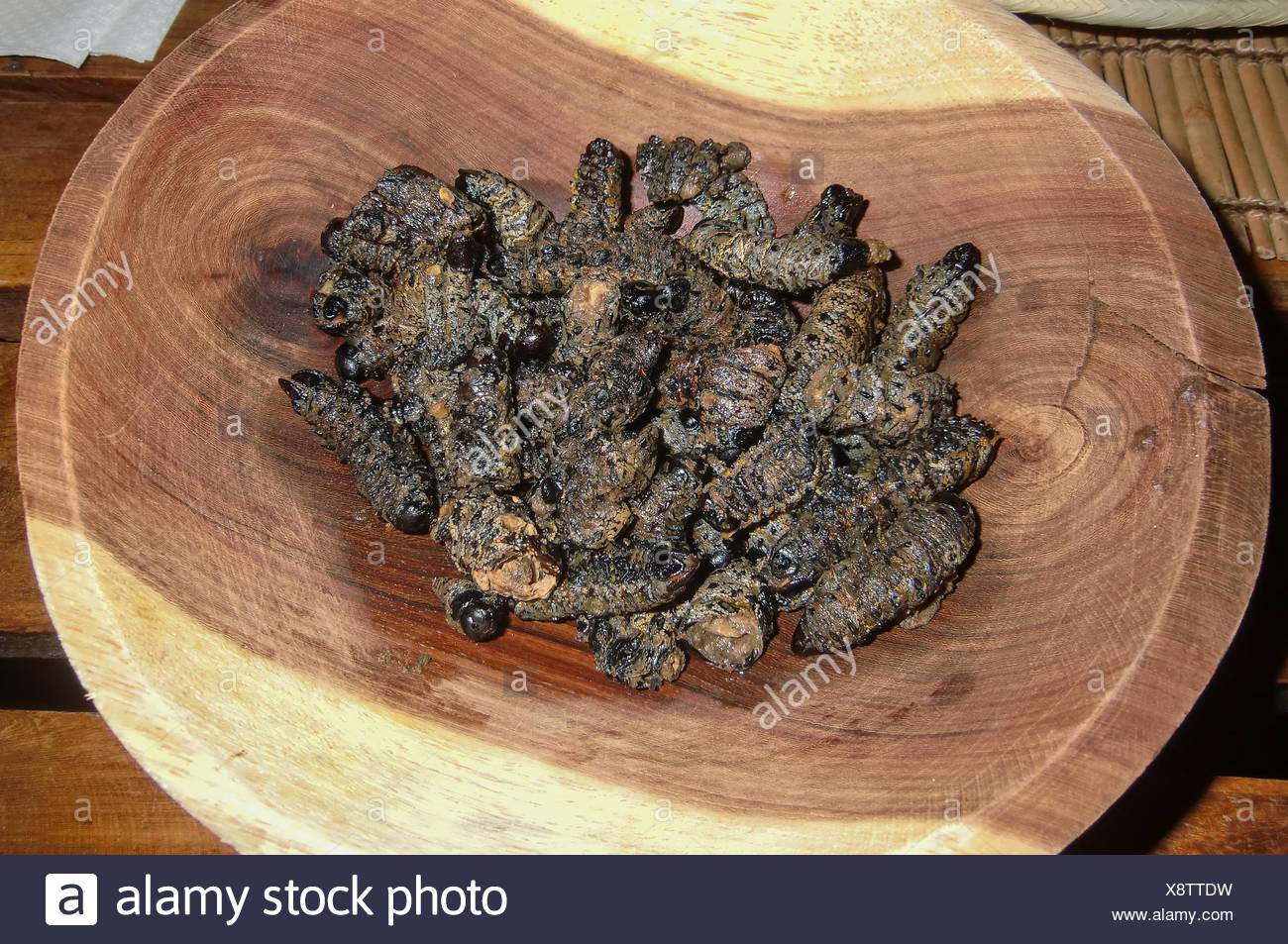 Mopane Worms High Resolution Stock Photography and Images - Alamy