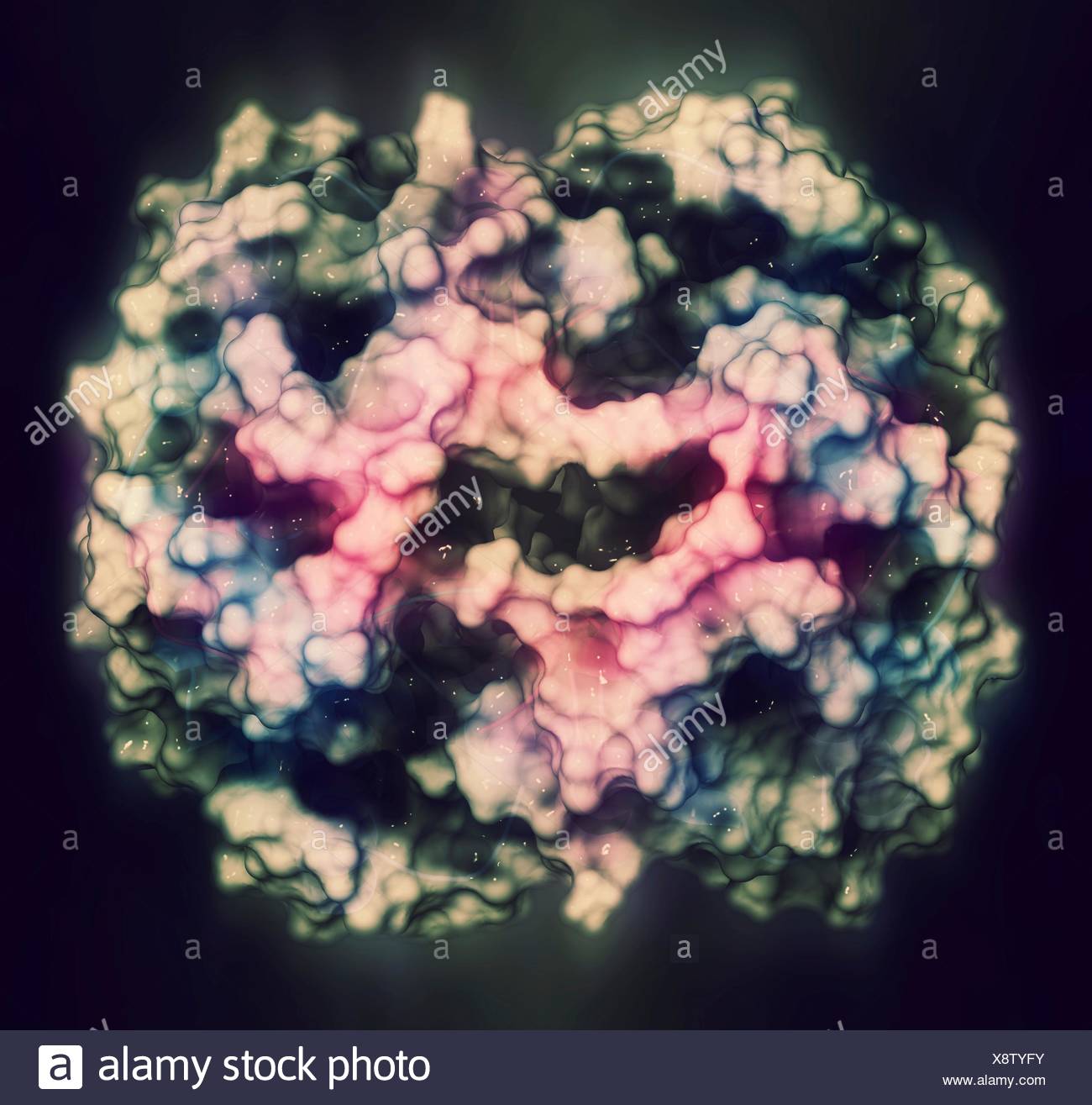 Polymer Cells High Resolution Stock Photography and Images - Alamy