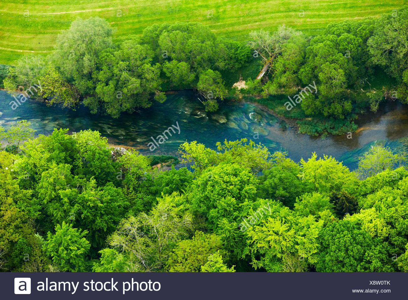 Riverside Plants High Resolution Stock Photography and Images - Alamy