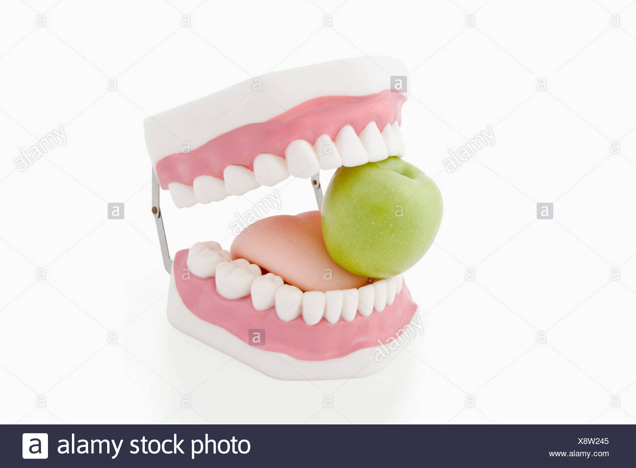 Biting Teeth Stock Photos & Biting Teeth Stock Images - Alamy