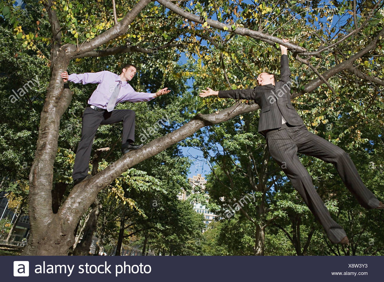 Man Hanging Tree Branch Stock Photos & Man Hanging Tree Branch Stock ...