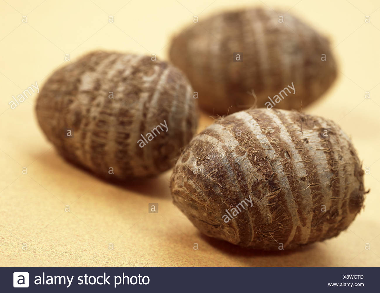Dasheen High Resolution Stock Photography and Images - Alamy