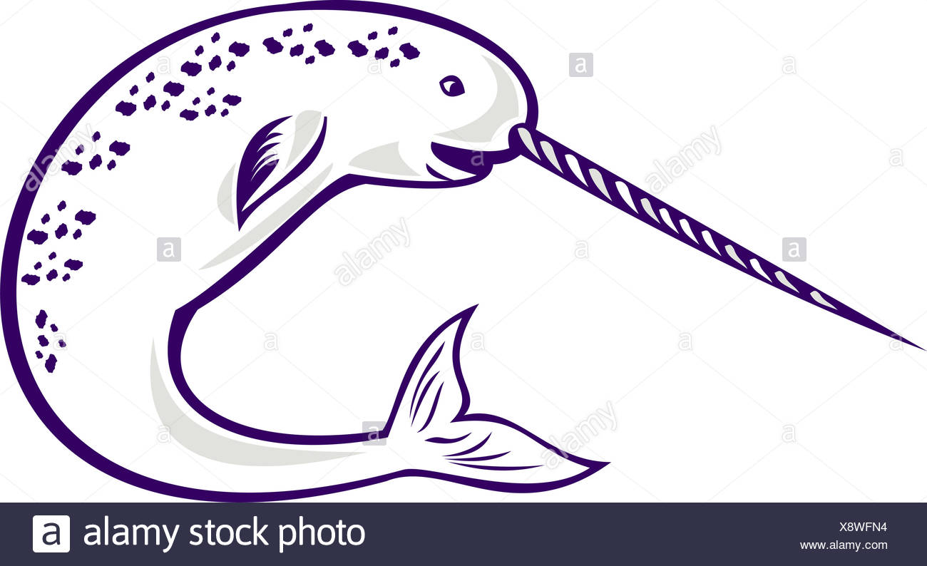 Whale Tooth High Resolution Stock Photography and Images - Alamy