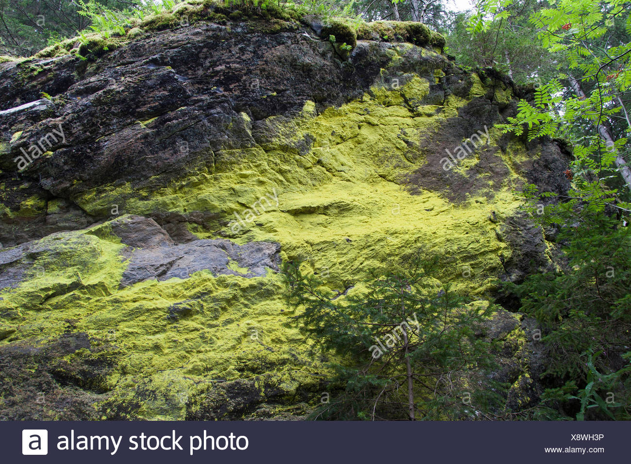Sulfur Dust High Resolution Stock Photography and Images - Alamy