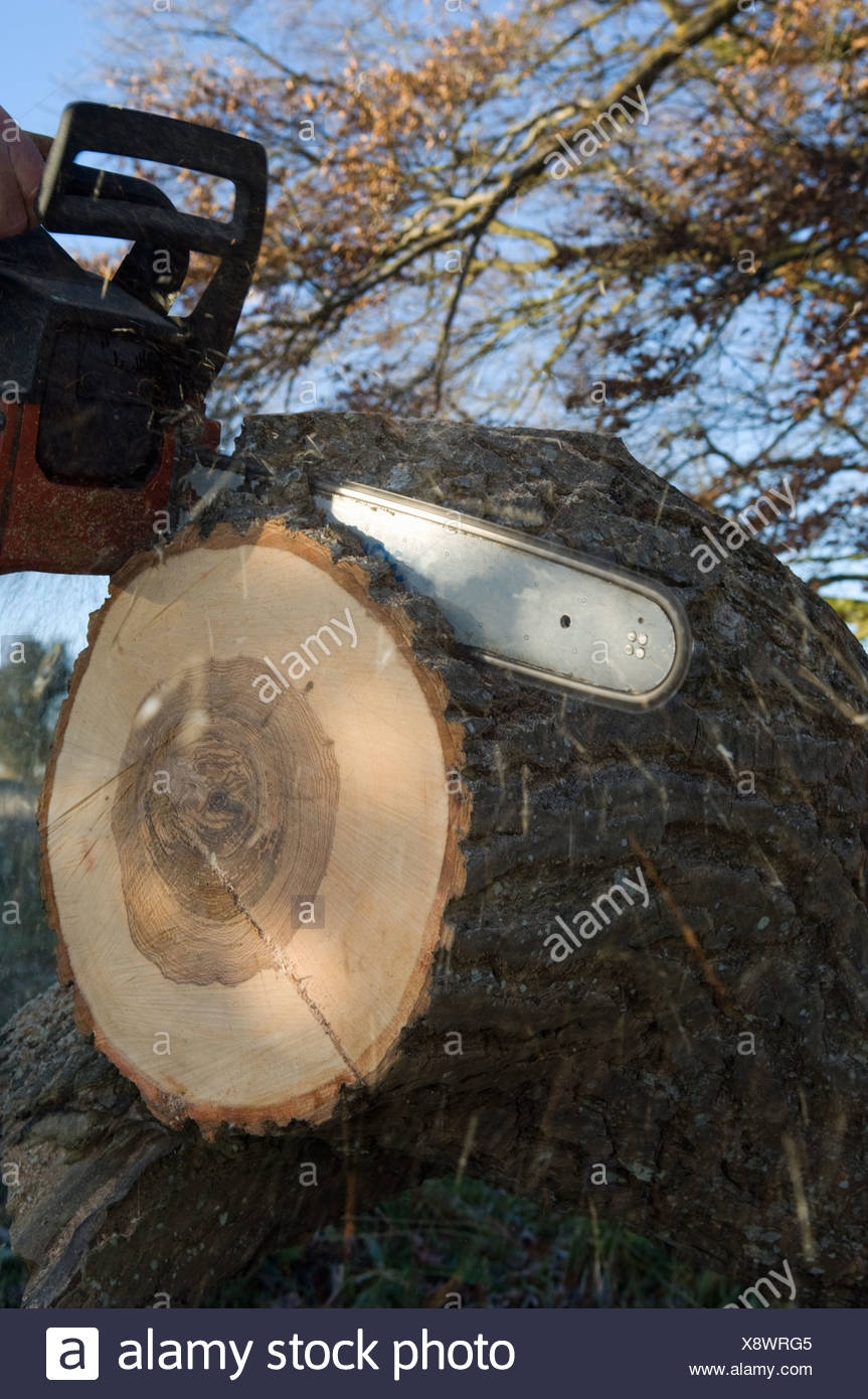 Chainsaw Chain Closeup High Resolution Stock Photography and Images - Alamy