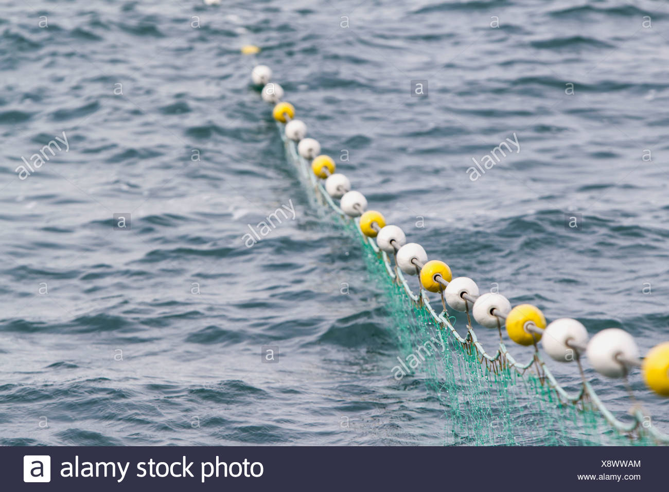 Gillnet High Resolution Stock Photography and Images - Alamy