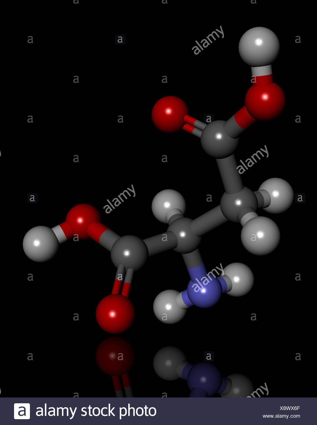 Aspartate Stock Photos & Aspartate Stock Images - Alamy
