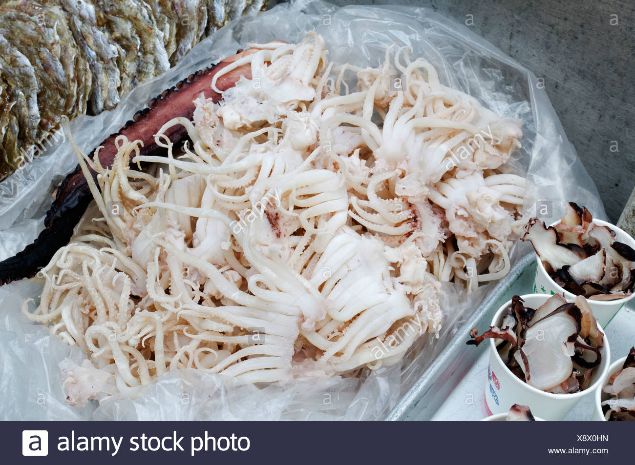 Cuttlefish Closeup Stock Photos & Cuttlefish Closeup Stock Images - Alamy