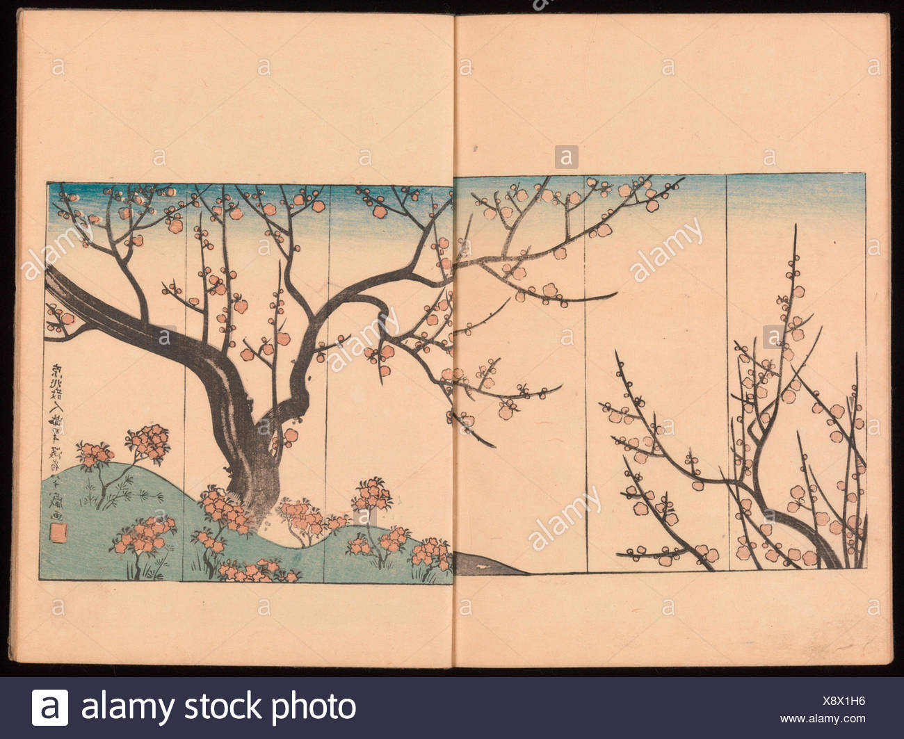 Kenzan Stock Photos & Kenzan Stock Images - Alamy