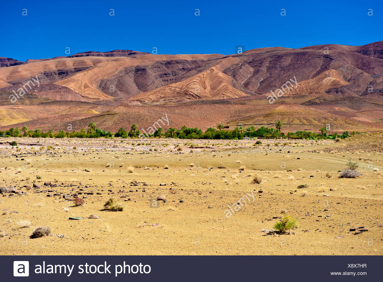 Sparse Landscape High Resolution Stock Photography and Images - Alamy