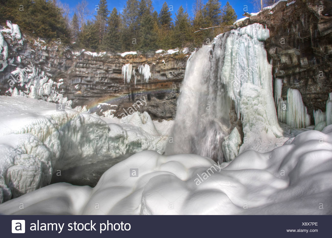 Canim High Resolution Stock Photography and Images - Alamy